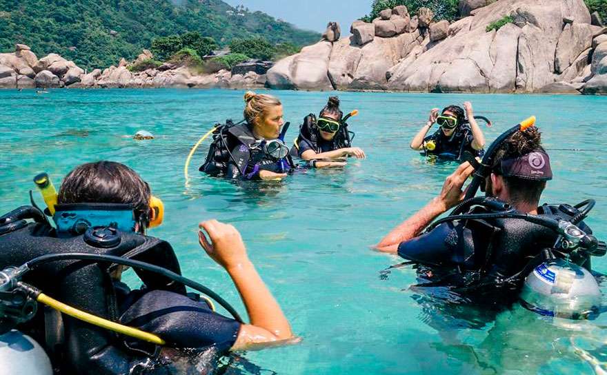 Dive Hand Signals: A Guide to Underwater Communication | DPM